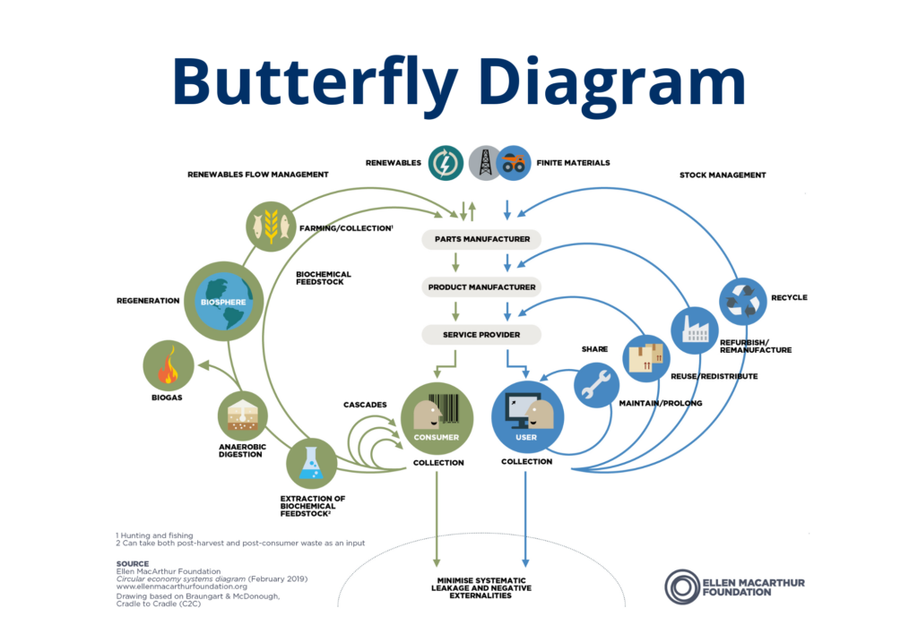 Wat is het Butterfly Diagram? - Circulearning