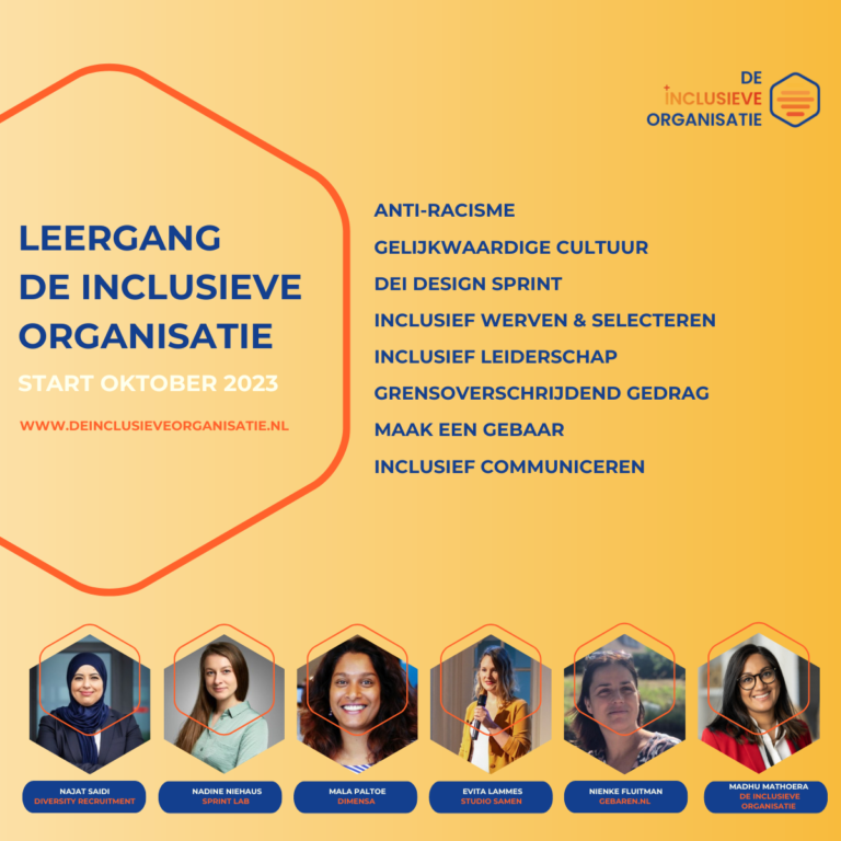 Leergang De inclusieve organisatie - De inclusieve organisatie