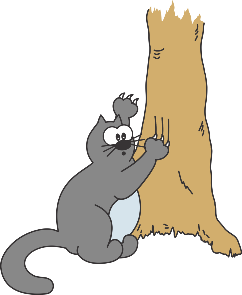 Hoe katten via geur communiceren - Katteljee