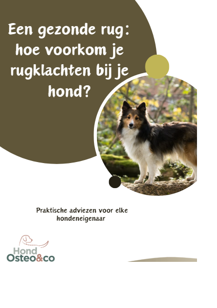 eBook: een gezonde rug: voorkom rugklachten bij je hond - HondOsteo&Co