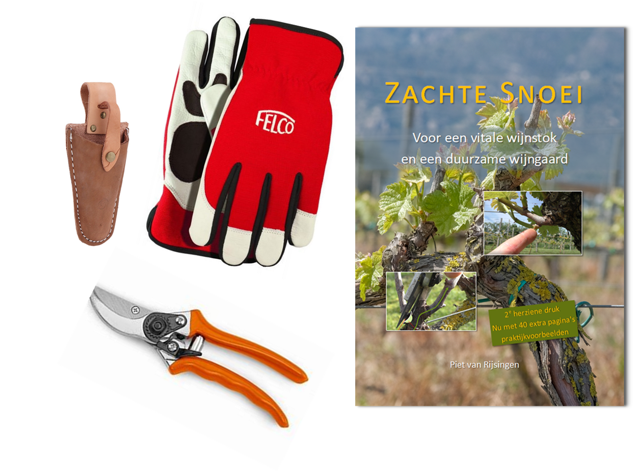 Zachte snoei: vitale wijnstok, duurzame wijngaard - online cursus ...